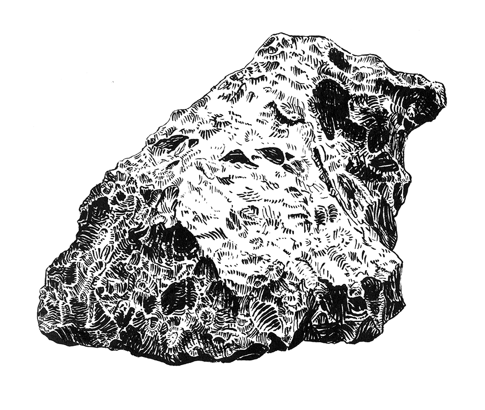 PORTRAITS METEORITES